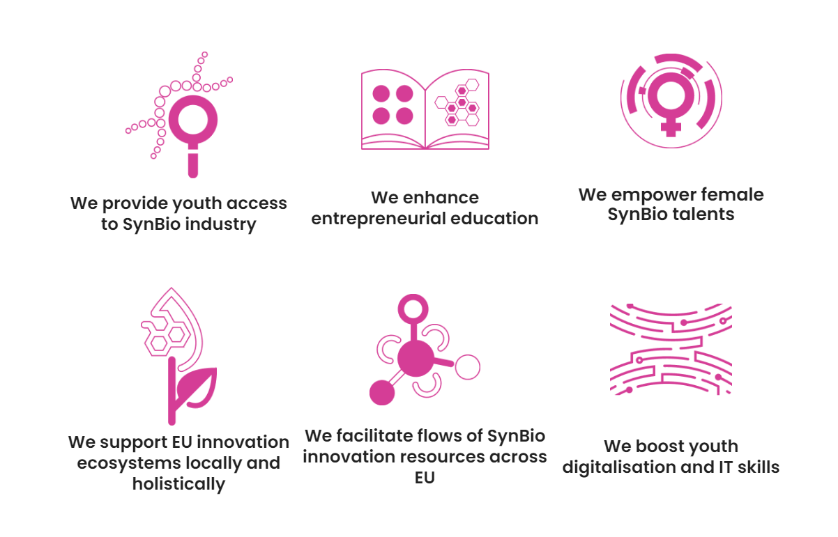 OUR STORY – SYNBEE