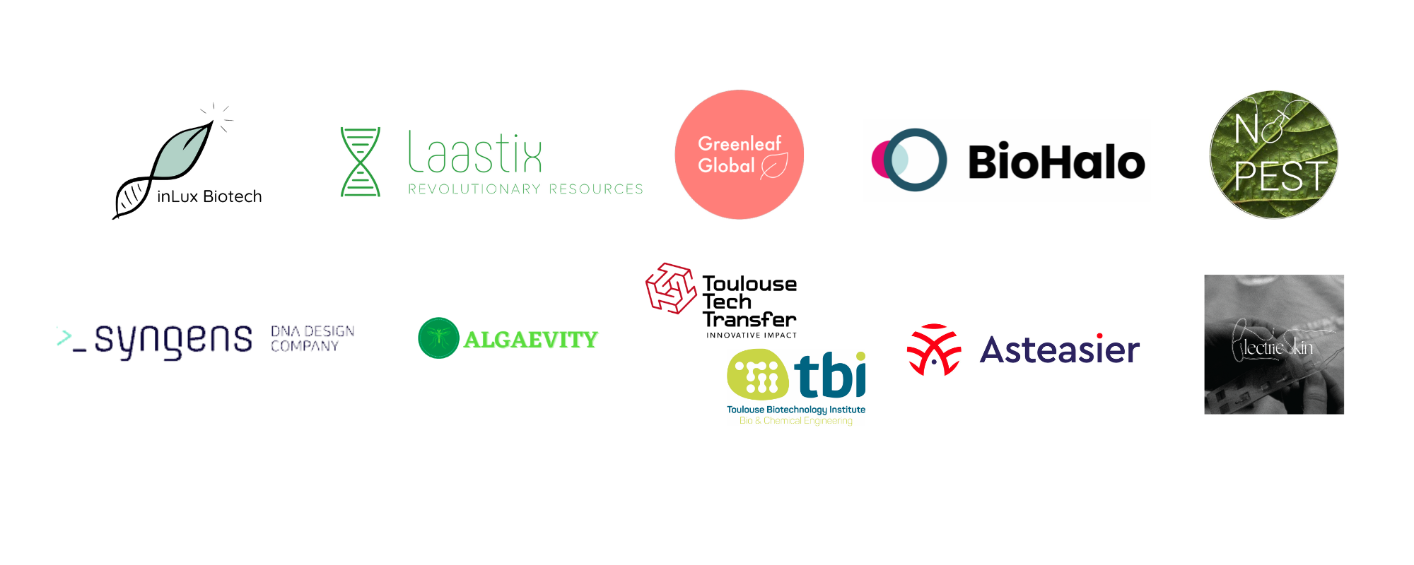 SYNBEE Pitch Competition Unveils Top 10 Finalists Propelling Sustainability and Green Innovation ...